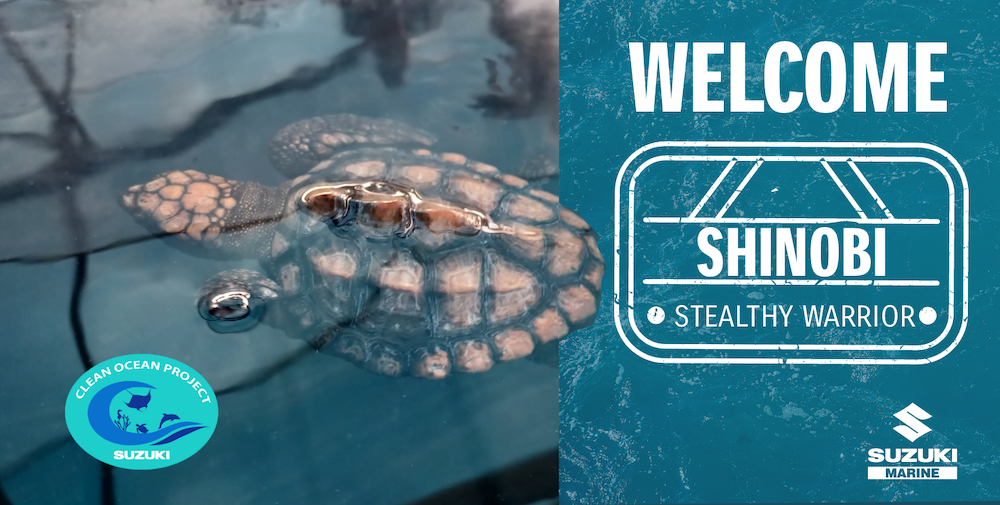 Suzuki Marine South Africa Adopts Its 3rd Turtle